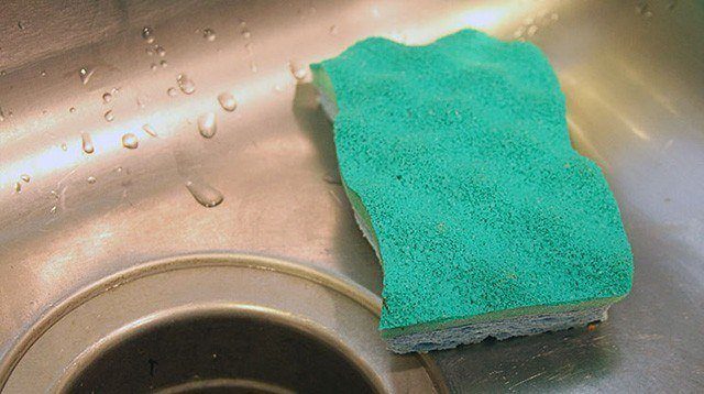 Eew! Germs Remain in Your Sponge Even After Disinfection, Study Finds