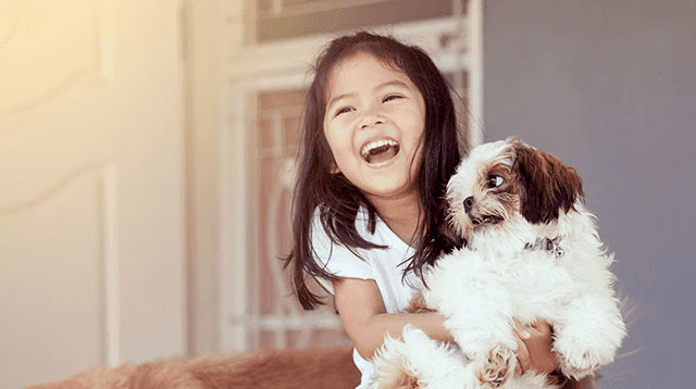 How to Prepare Your Child for His First Pet Dog or Cat
