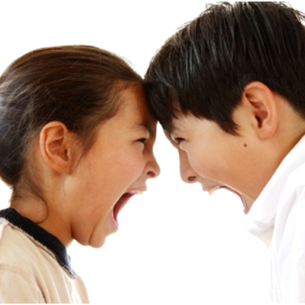 Playing Referee: How to Settle Fights Between Siblings