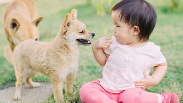 This Is the Most Effective First-Aid Treatment Against Rabies