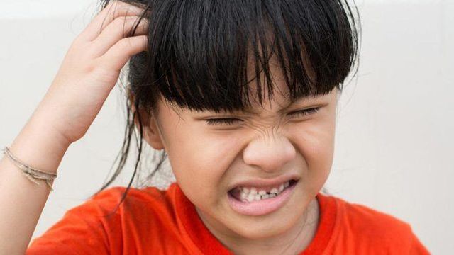 Kuto at Lisa: Paano Mabisang Matanggal ang mga Ito?